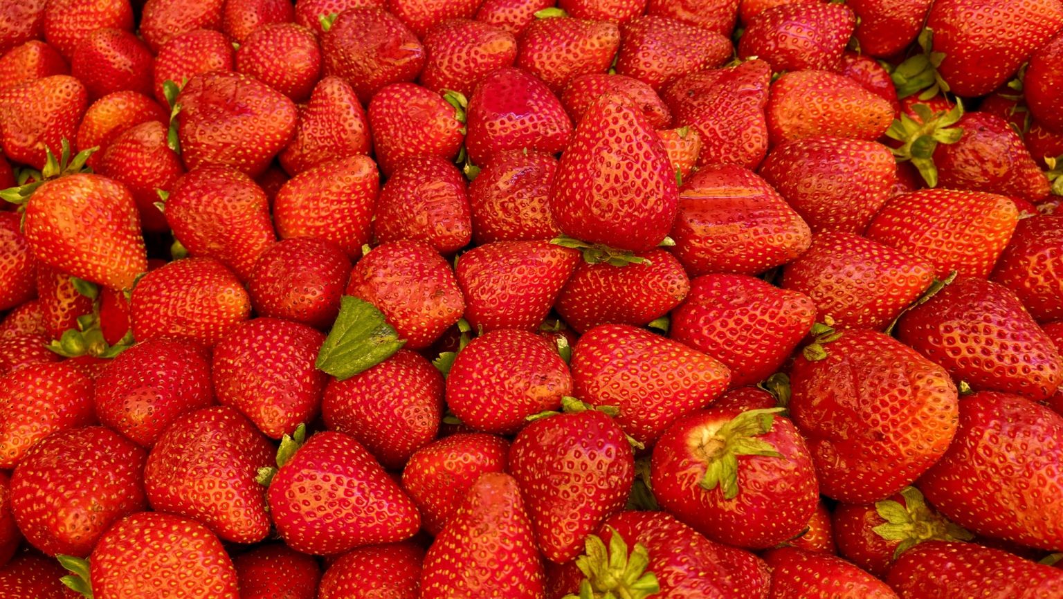 6 frutas que você tem que experimentar no Chile - Nós no Chile